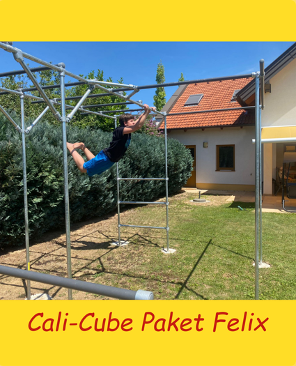 CALI-CUBE FELIX Sportgerät / Klettergerüst / Fitnessgerät / Gymnastikg ...